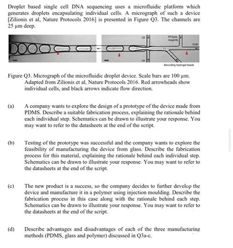 Droplet Based Single Cell Dna Sequencing Uses A