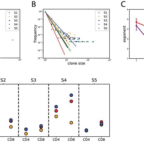 Characterization And Quantification Of The T Cell Repertoire And