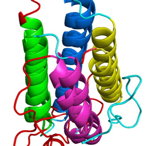 Pdf Connectivity Independent Protein Structure Alignment A Hierarchical Approach