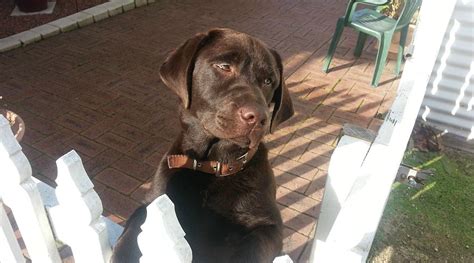 Jassi 2025 All You Need To Know Before You Go With Reviews