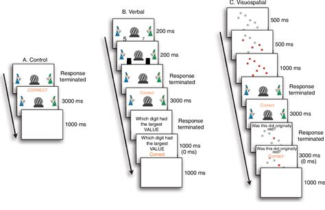 Figure 1 From The Effects Of Concurrent Verbal And Visual Tasks On