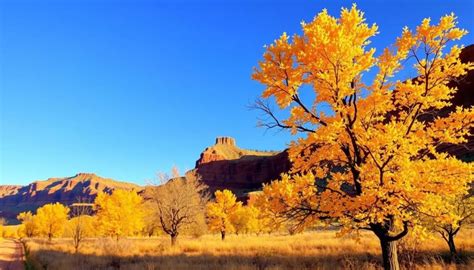 Palo Duro Canyon State Park Texas Best Things To Do Top Picks