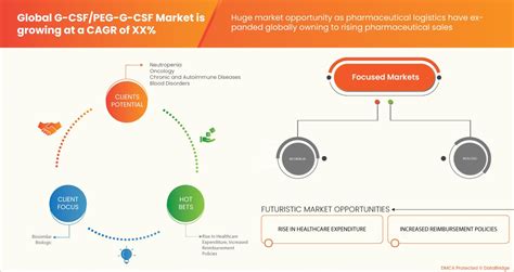 G Csfpeg G Csf Market Global Market Industry Trends And Forecast