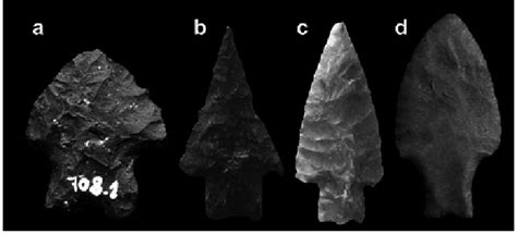 1 Variation Among Stemmed Projectile Points In The Middle Late Holocene