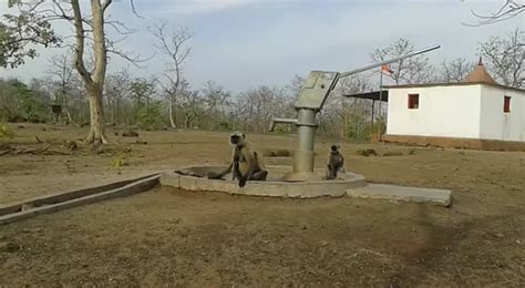 [video] Naveen Mishra On Linkedin Water Is Essential For All