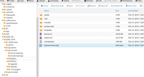 How To Hide Add To Cart Button On Your WooCommerce Store Without Plugins Virtina