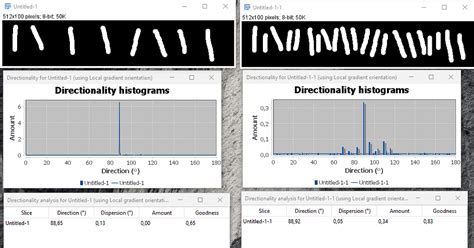 Plugin Directionality Image Analysis Imagesc Forum