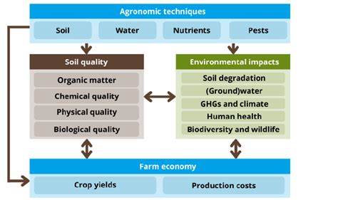 Impacts Of Agronomic Techniques For Managing Soil Water Nutrients Download Scientific