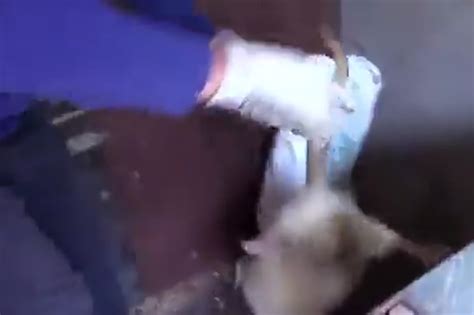 Yuval Leshem Mba On Linkedin Java Javascript Css Html Frontend