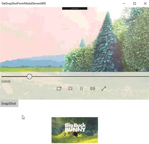 C How To Take A Snapshot With Mediaelement In Uwp Stack Overflow