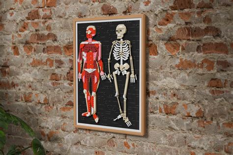 Anatomical Chart Lego® Ideas