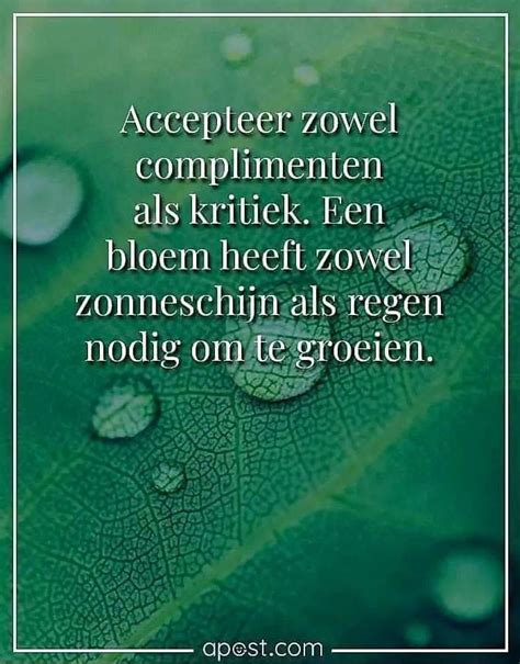 Accepteer Zwoele Complimenten Als Kriek