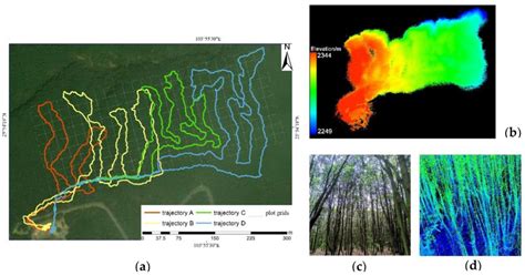 Situation In The Forest Plot And Lidar Data Acquisition Results A Download Scientific