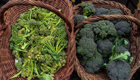 Bimi And Broccoli Similarities Differences Properties And How To Use