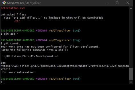 Your Work Tree Has Not Been Configured For Slicer Development