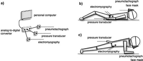 A Schematic Diagram Of The Experimental Setup A For The Active Download Scientific Diagram