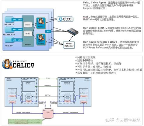 Kubernetes网络原理及方案 知乎