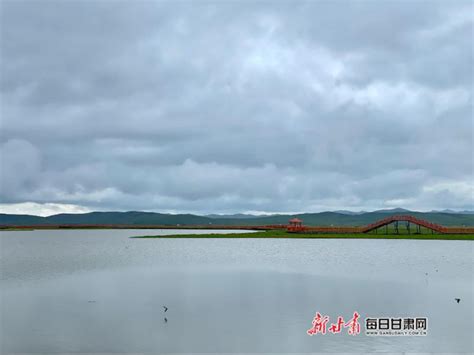 【2023六五环境日·甘肃生态环保媒体行】在河曲马场邂逅“湿”与远方 津云app