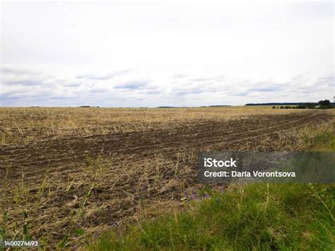 종자 파종 심기 과정을 위해 준비된 농업 밭을 갈기 새로 쟁기질 된 토양 시골 랜스케이프 계절에 대한 스톡 사진 및 기타 이미지 Istock