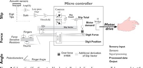 Figure 2 From Slip Detection Strategies For Automatic Grasping In Prosthetic Hands Semantic
