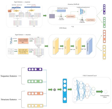 Deepmhadta Prediction Of Drug Target Binding Affinity Using Multi Head