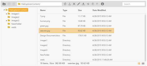 How To Fileexplorer Aspnet Mvc Syncfusion