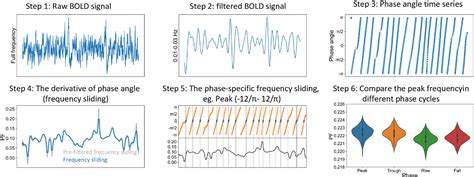 Figure 1 From Intrinsic Neural Timescales Relate To The Dynamics Of Infraslow Neural Waves