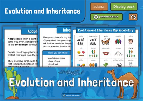 Year 6 Science Evolution Display Pack Grammarsaurus