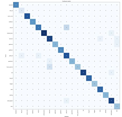 Fast Deployment Of An Image Classification Web App With Fastai By