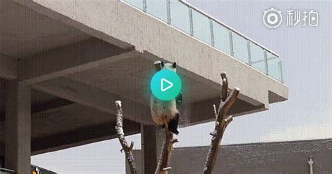 Prison Break  On Imgur