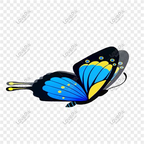 Animasi Kupu Kupu Bergerak Untuk Powerpoint Animasi Bergerak Lucu Dan Keren Untuk Powerpoint