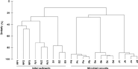 Hierarchical Clustering Based On Bray Curtis Similarities Of Arisa Fi