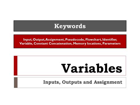 Inputs Outputs And Assignment Ppt Download