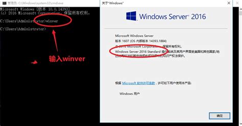 Windows Server2016服务器版系统激活的正确方式 哔哩哔哩