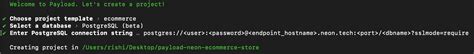 using payload cms with neon postgres to build an e commerce store in