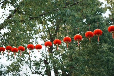 才艺展宏“兔” 新春送祝福——记合肥一中瑶海校区高一（47）班寒假美育活动 合肥市第一中学