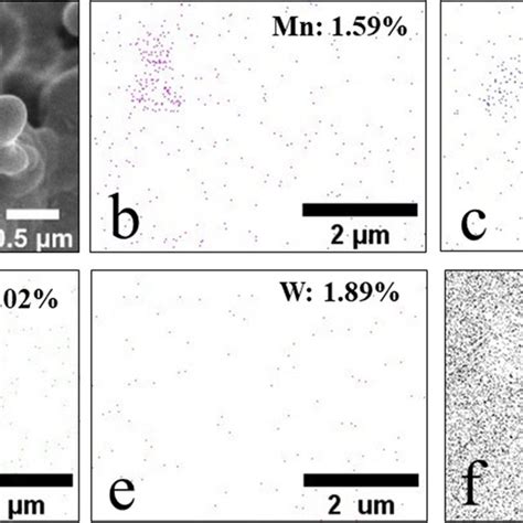 A FE SEM And B C D E And F EDX Images And Weight Download Scientific Diagram