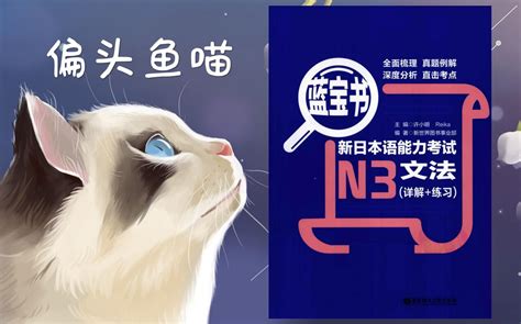 日语语法蓝宝书N3精讲完 哔哩哔哩 bilibili