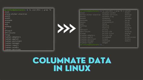 How To Use Column Command In Linux With 10 Examples