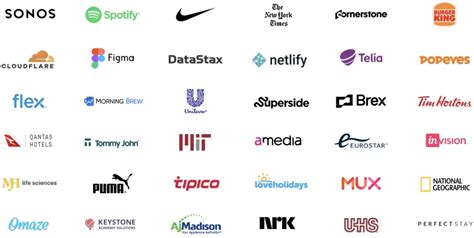 Top 20 Questions About Sanity Cms — Represent Web Agency