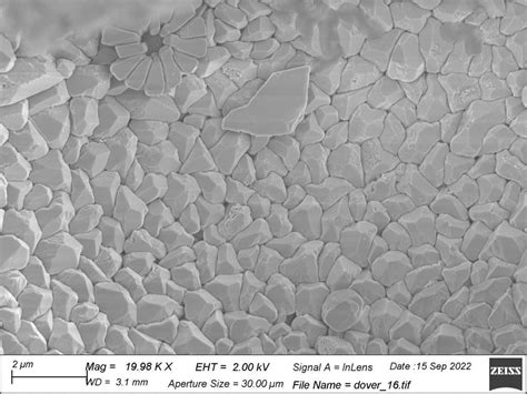 What Is The Right Microscope If Possible 300 For Me I Want To Be