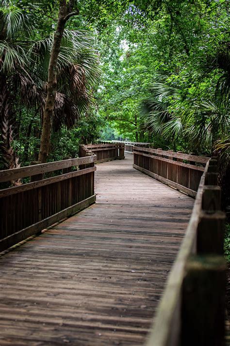 Zig Zag Path Photograph By Rafael Baptista Pixels