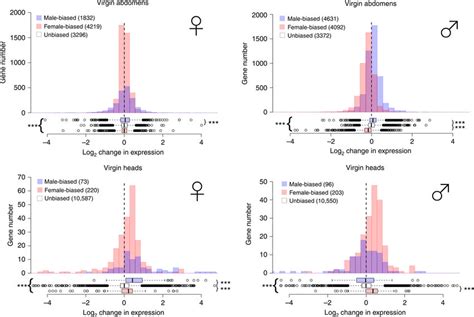 Gene Expression Changes Following Experimental Mating System Download Scientific Diagram