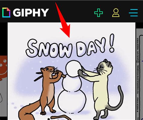 How To Save GIFs On IPhone
