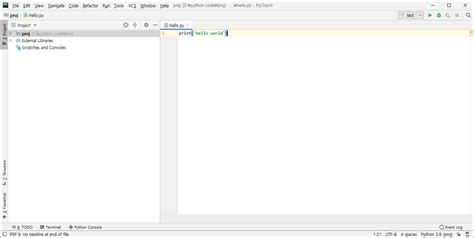 파이썬과 인터프리터 Softcode