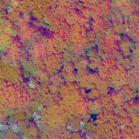 Val Object Detection Dataset By Nefu