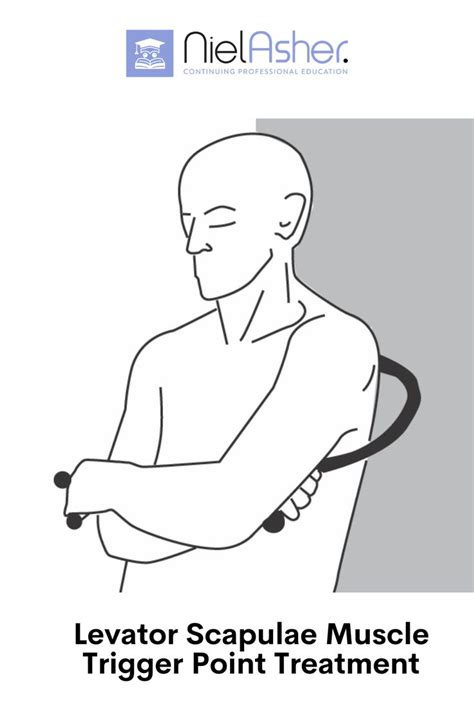 Levator Scapulae Muscle Treating Levator Scapulae Trigger Points Dr Jonathan Kuttner Ischemic