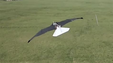 New Chinese Ornithopter The Worlds Most Bird Like China Claims