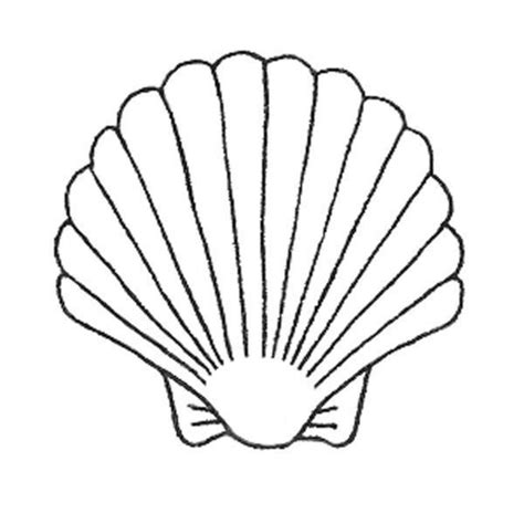 Shell Clipart Black And White Free Download On Clipartmag