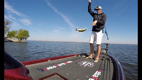 Three Bass On One Stump Youtube
